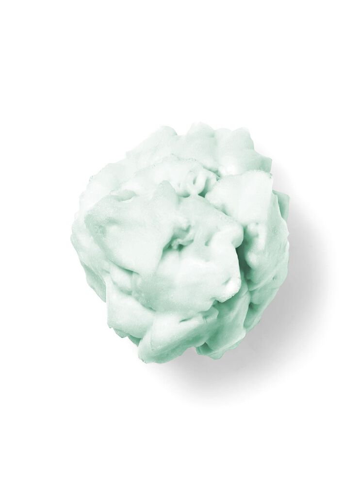 Buy Vanilla Bean Noel Shapeable Soap Online | Bath & Body Works Thailand